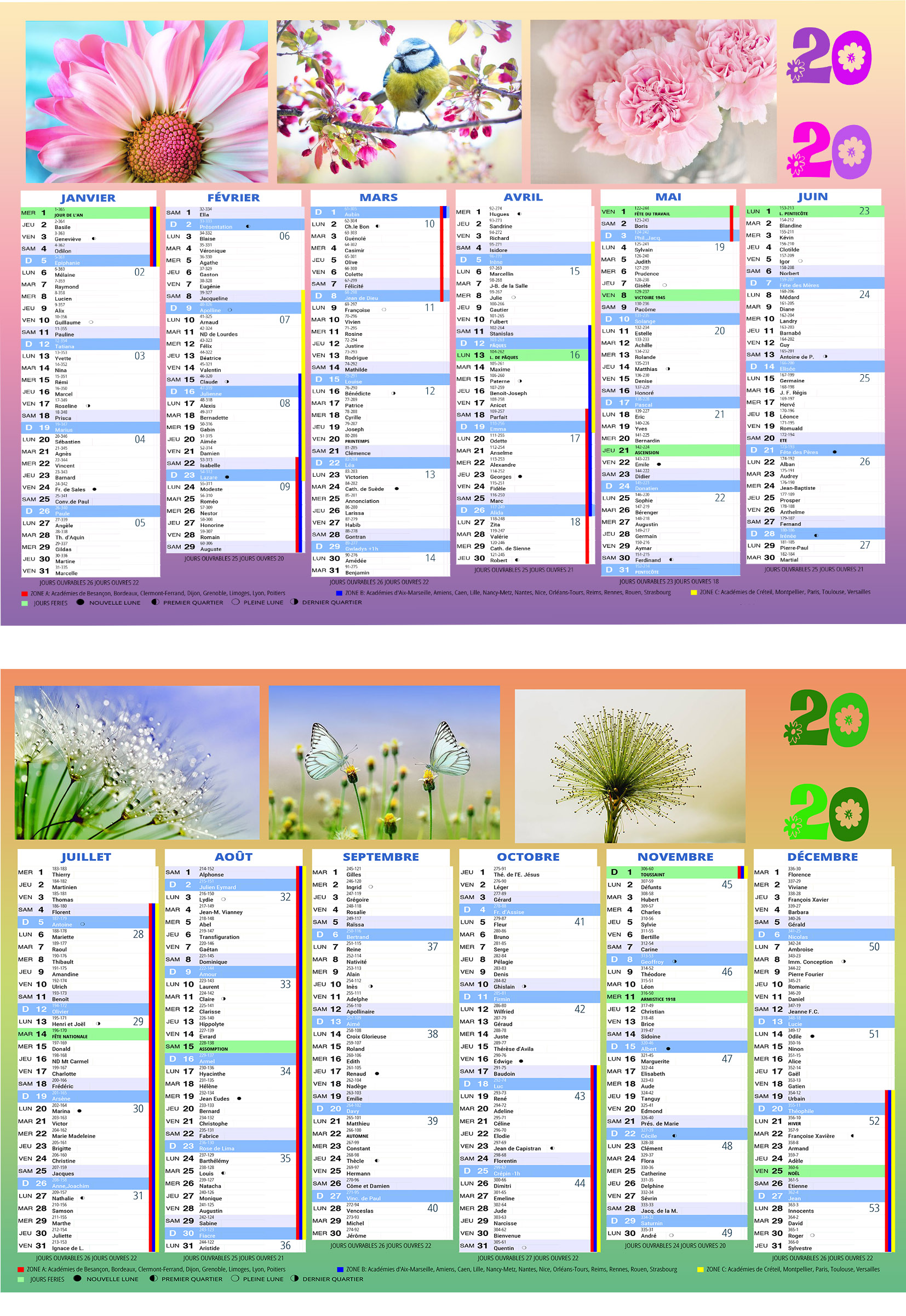 Calendrier Semestriel à Personnaliser Rose | T'imprim
